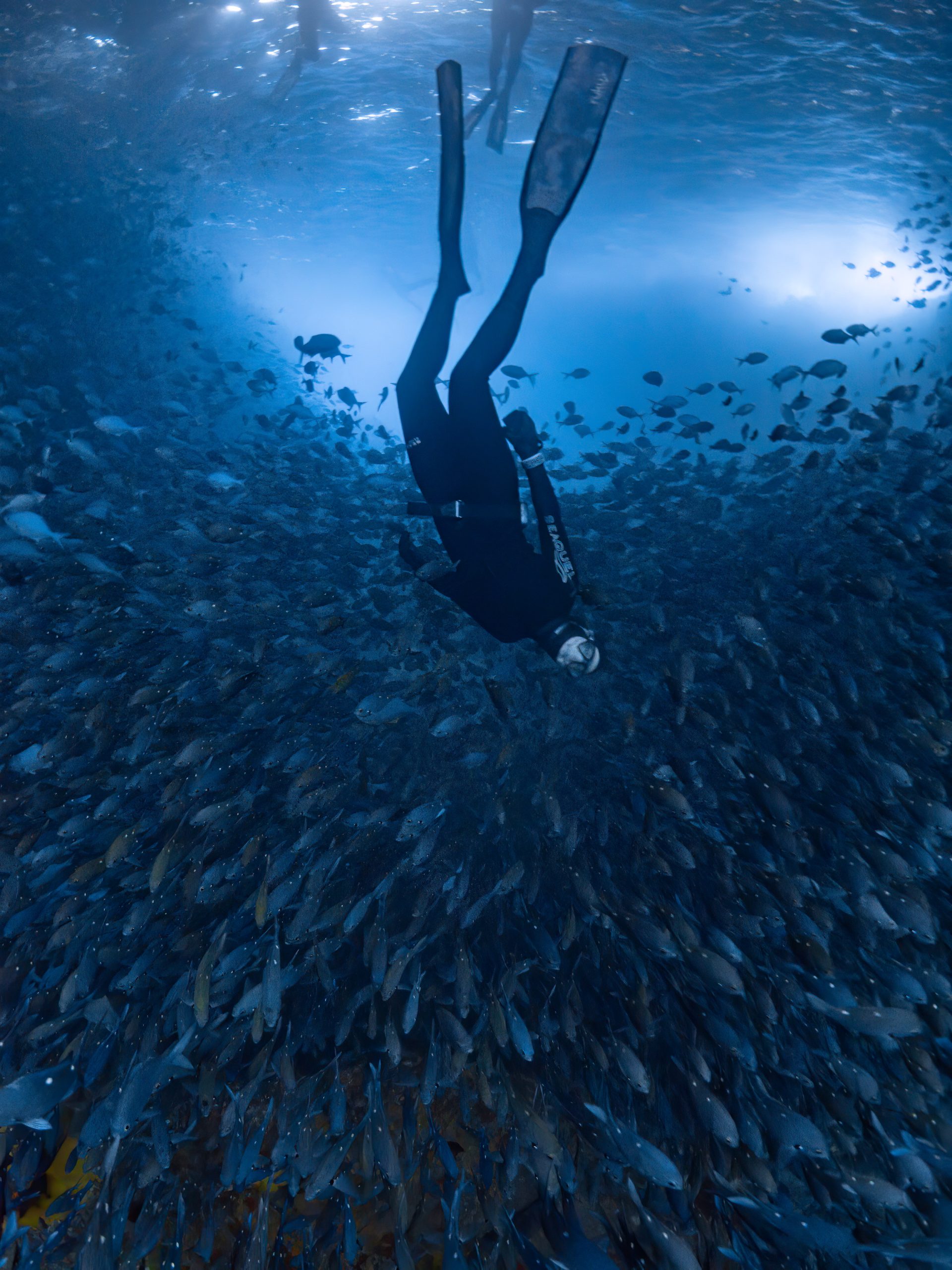 Simply breathtaking – 1964 Mountain Culture Journal